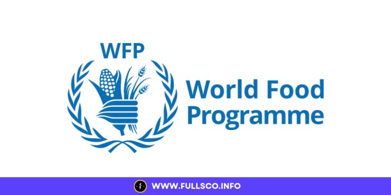 WFP Internship Program 2025 | Fully Funded